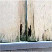 How to Repair Wood Rot - Uncle John's Handyman Service